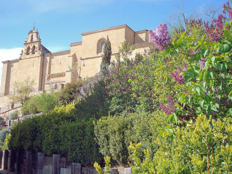 LABASTIDA » Qué y hacer en su cultura y bodegas