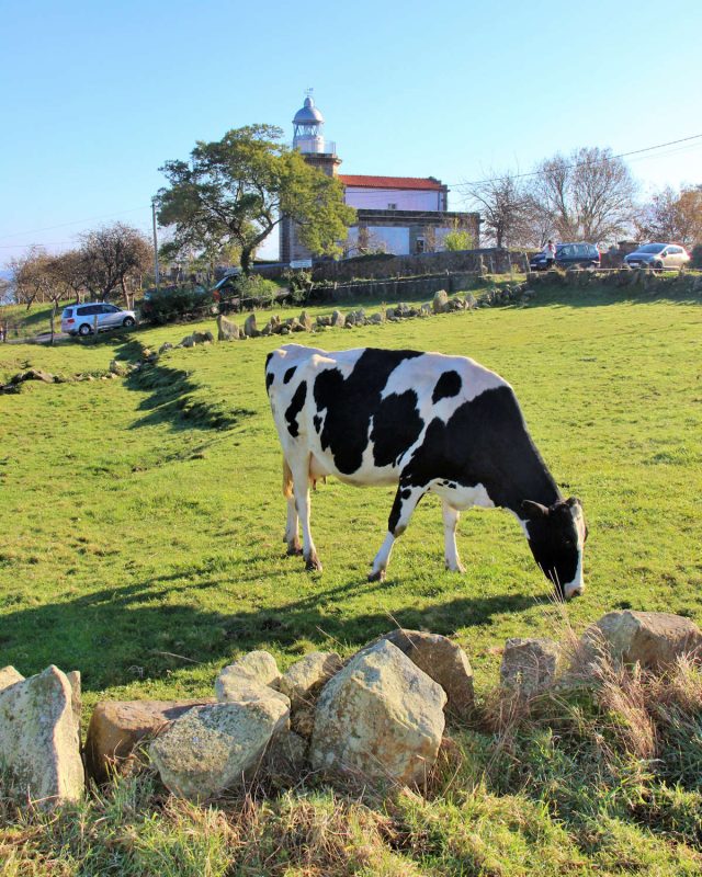 TAZONES » Qué ver y hacer, un atractivo rincón costero