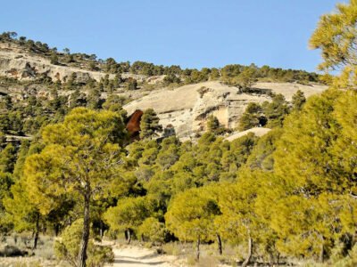 YECLA » Descubre qué ver y qué visitar en este pueblo