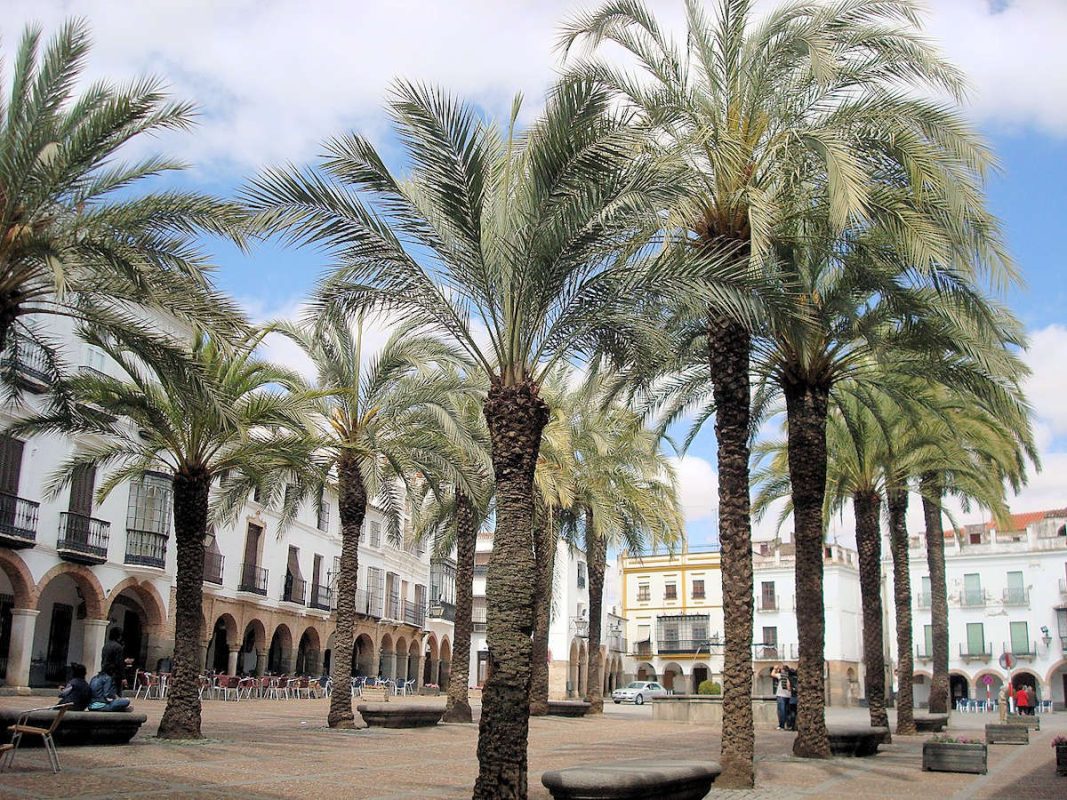 ZAFRA » Descubre qué ver y hacer en este bello pueblo