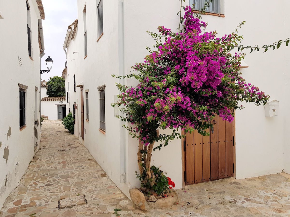 CASTELLAR DE LA FRONTERA » Descubre Qué Ver y Hacer