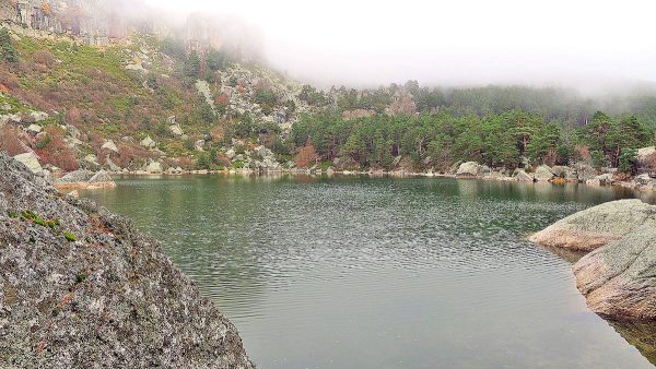 VINUESA » Qué ver y hacer. Paraje rodeado de pinares
