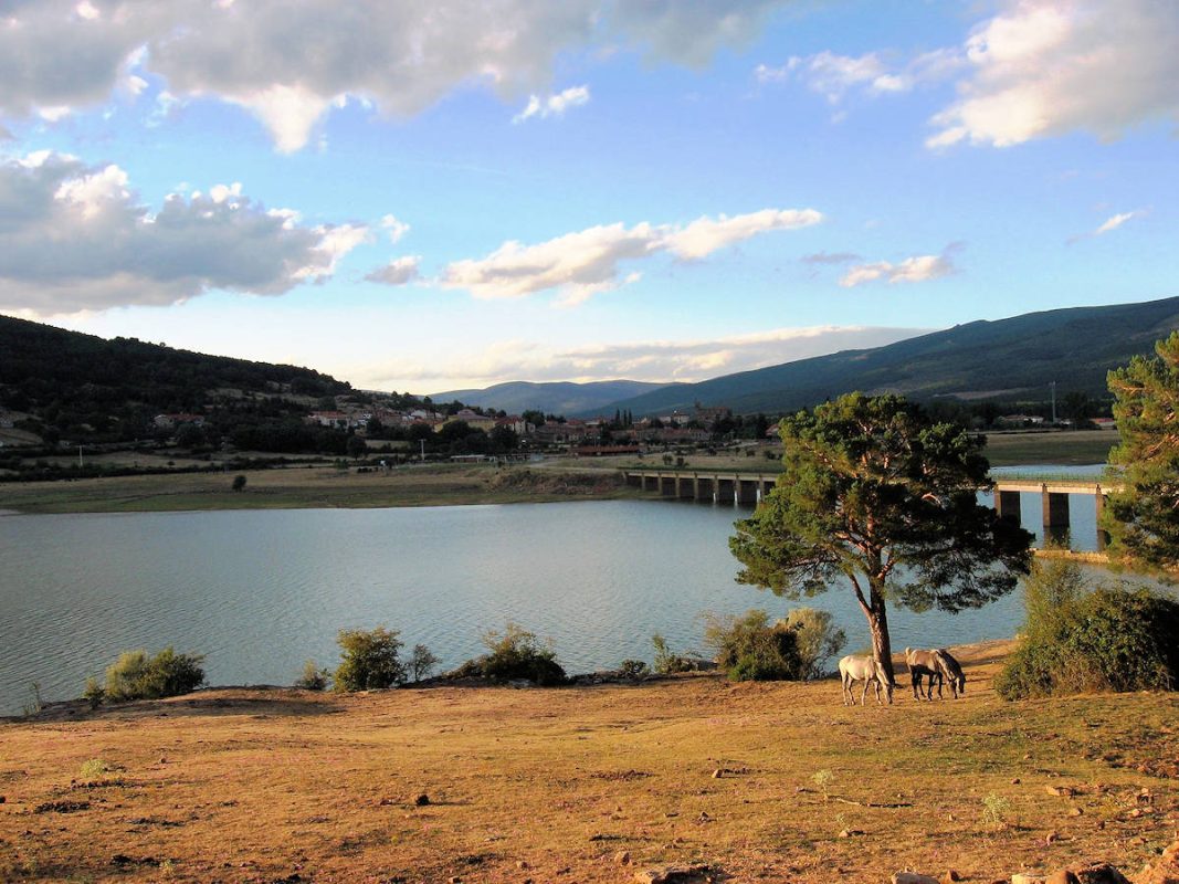 VINUESA » Qué ver y hacer. Paraje rodeado de pinares