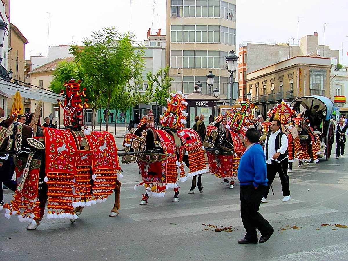 TOMELLOSO » Qué ver y hacer. Escenario de viñedos.