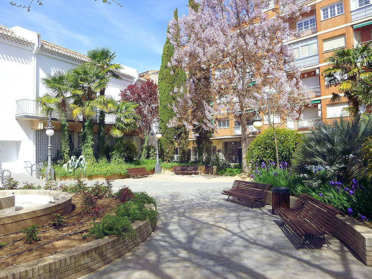 TOMELLOSO » Qué ver y hacer. Escenario de viñedos.