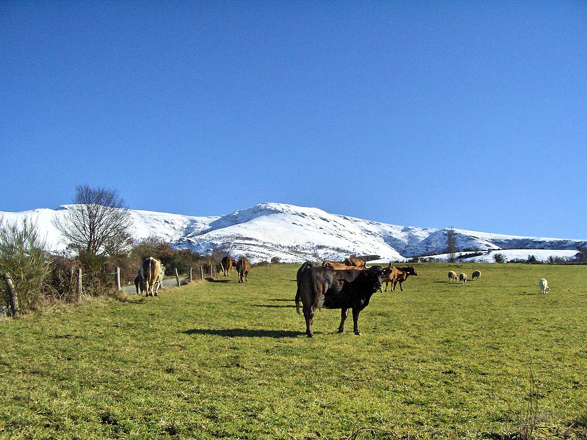 SAMOS » Descubre qué ver y hacer en tierras lucenses