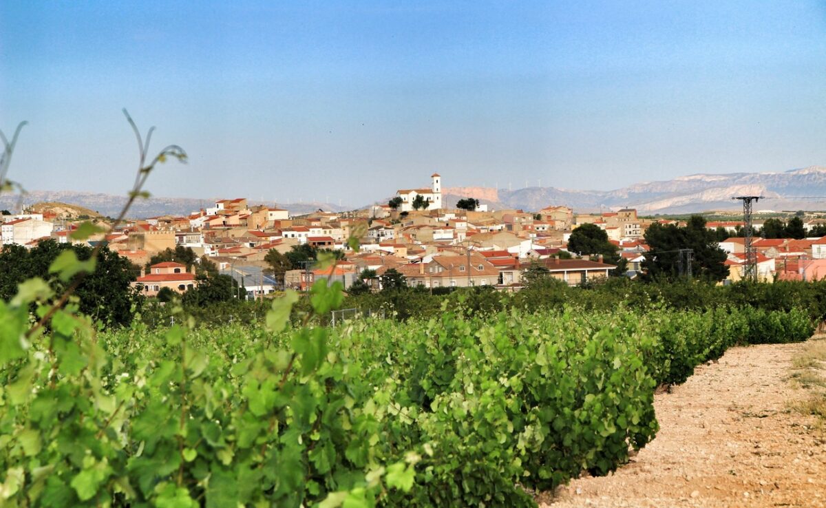 JUMILLA » Qué ver y hacer. Ciudad de las peras y los vinos