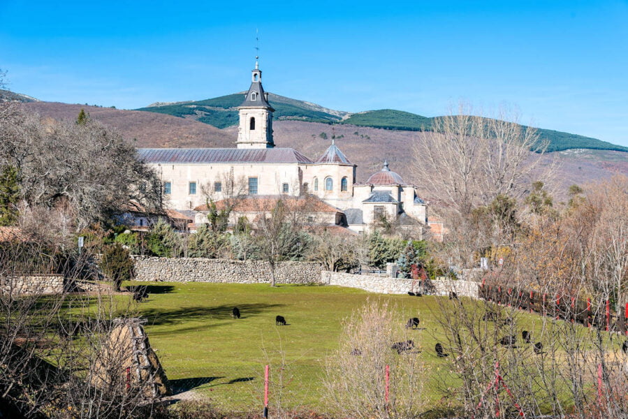 MERCADO DE SAN ILDEFONSO EN MADRID » Qué ver