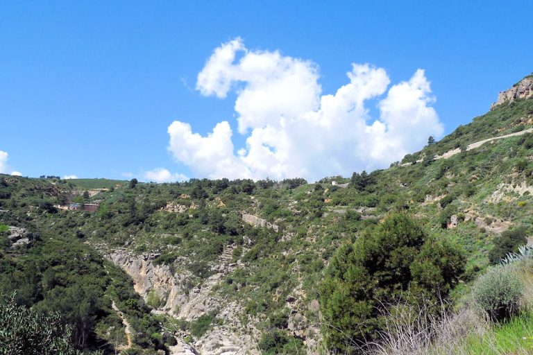 BUÑOL » Qué ver y hacer. Pueblo donde nace la Tomatina